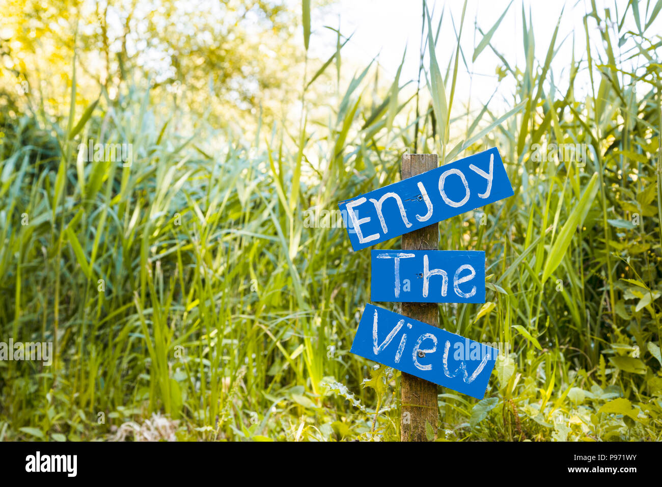 "Enjoy the view" wooden blue Sign surrounded by lush vegetation at ...
