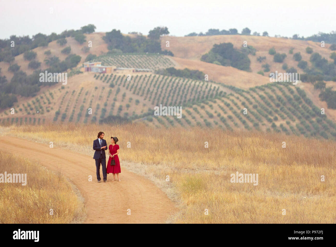 Destination Wedding is an upcoming American romantic comedy film ...