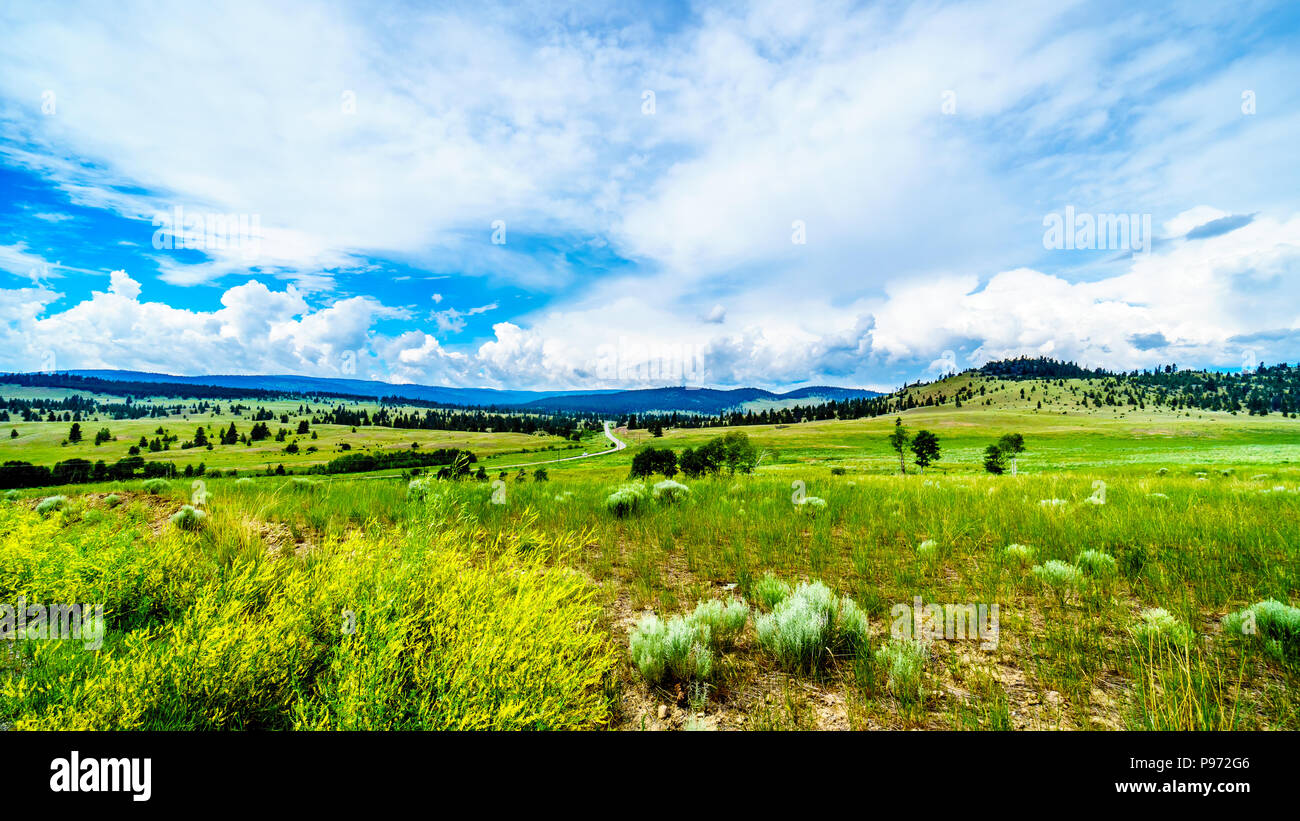 Fertile valley grass trees hills hi-res stock photography and images ...