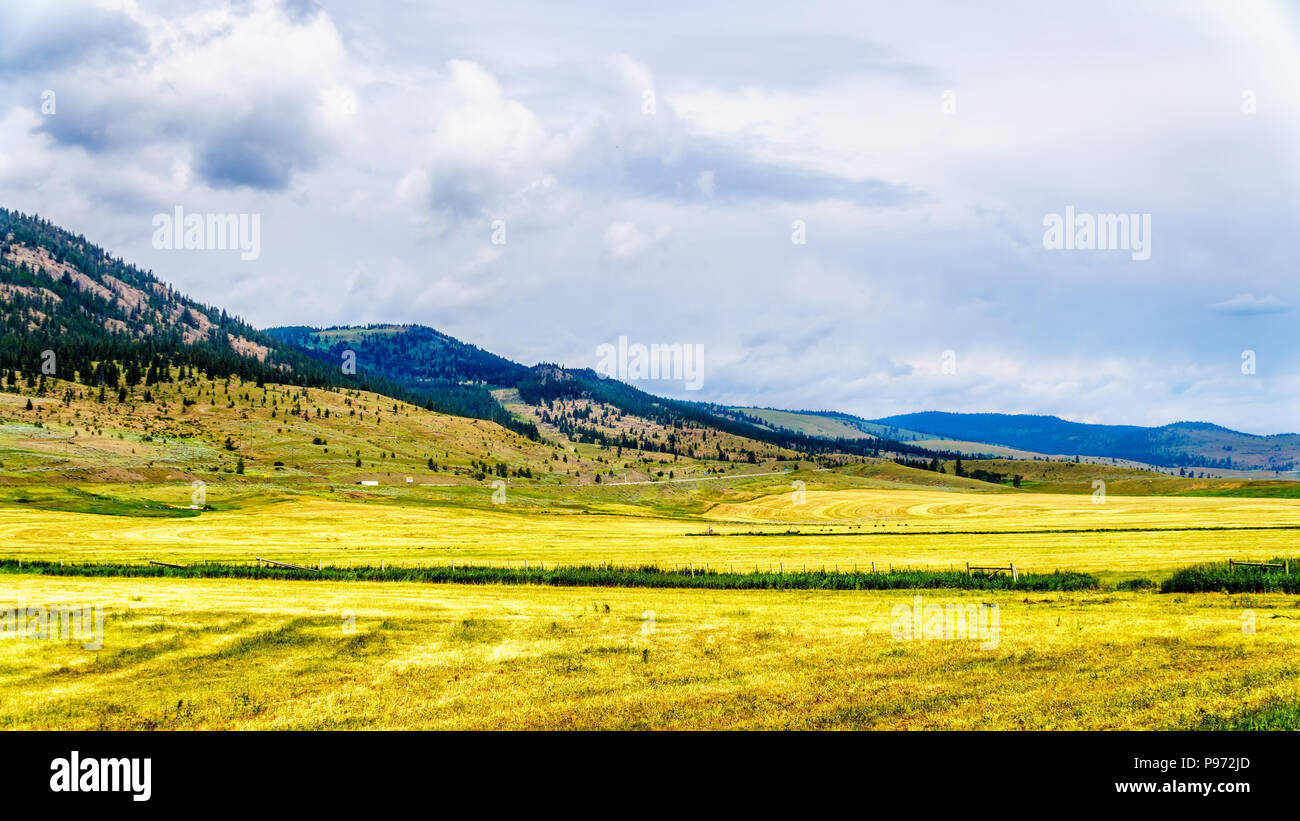 Ranch Land in the Nicola Valley along Highway 5A between Merritt and ...