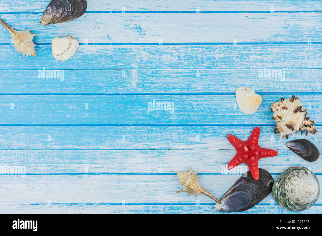 Painted sea shells hi-res stock photography and images - Alamy