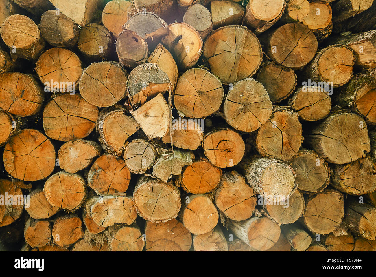 Dirty Pine Wood Texture High Resolution Stock Photography and Images ...