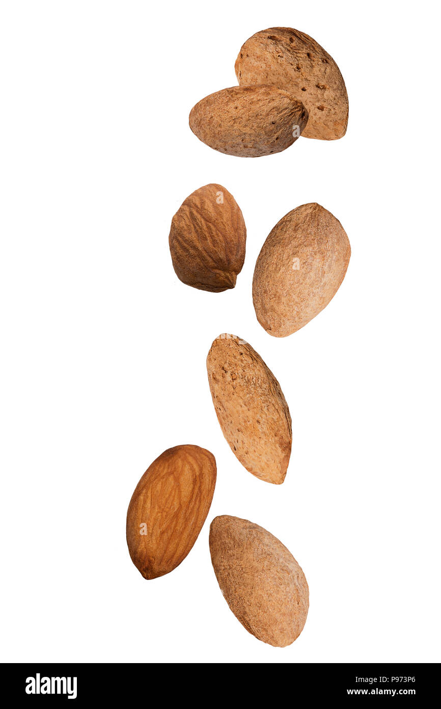 Isolated flying nuts. Almond nuts isolated on white background with ...
