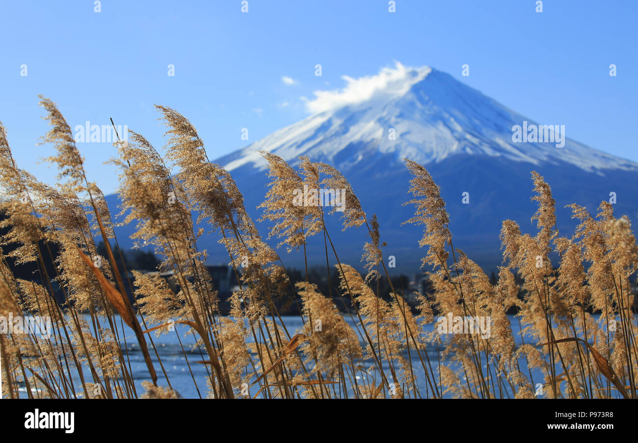 muji mountain meadow with lake view Stock Photo - Alamy
