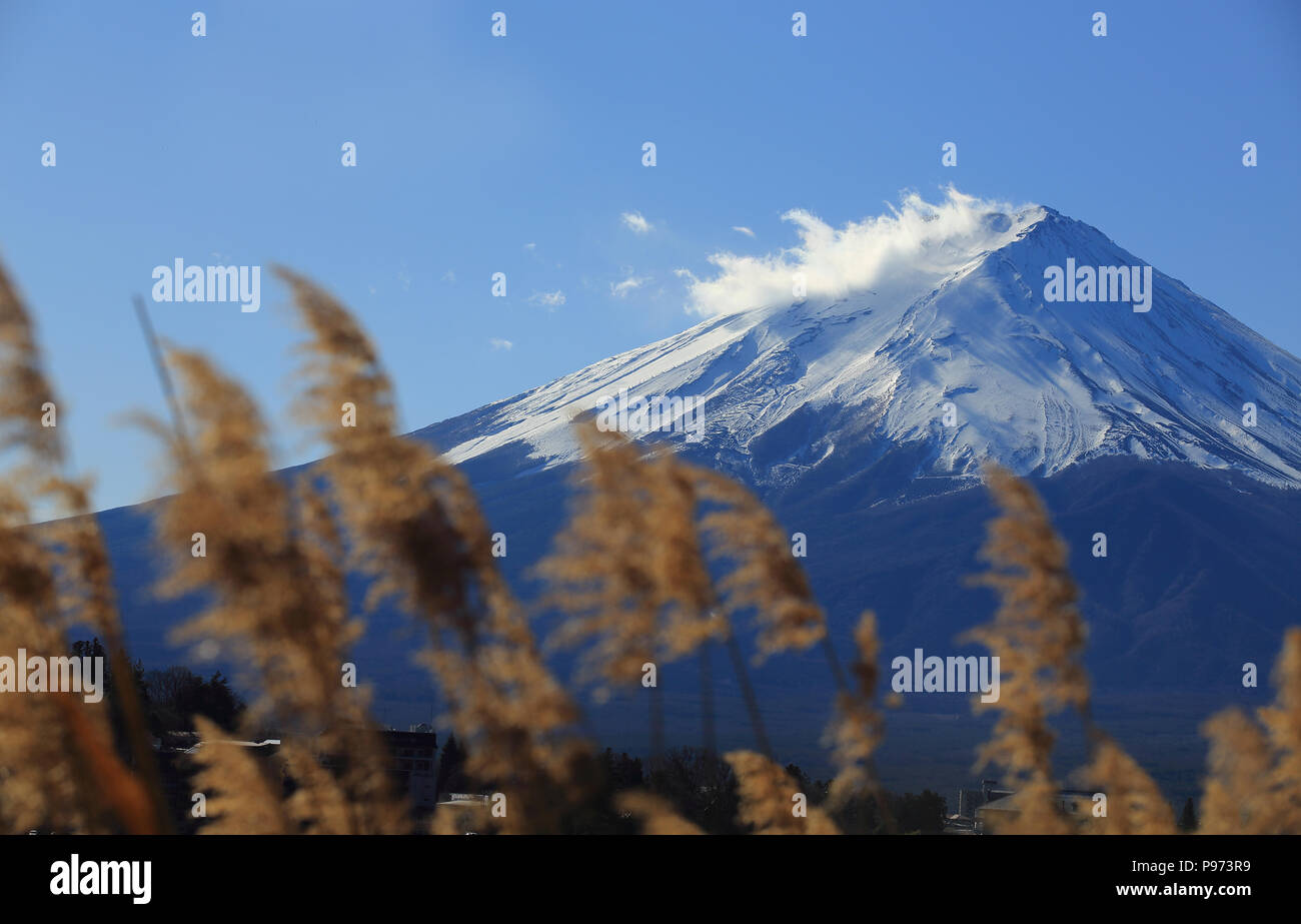 Foxtail Mountain High Resolution Stock Photography and Images - Alamy