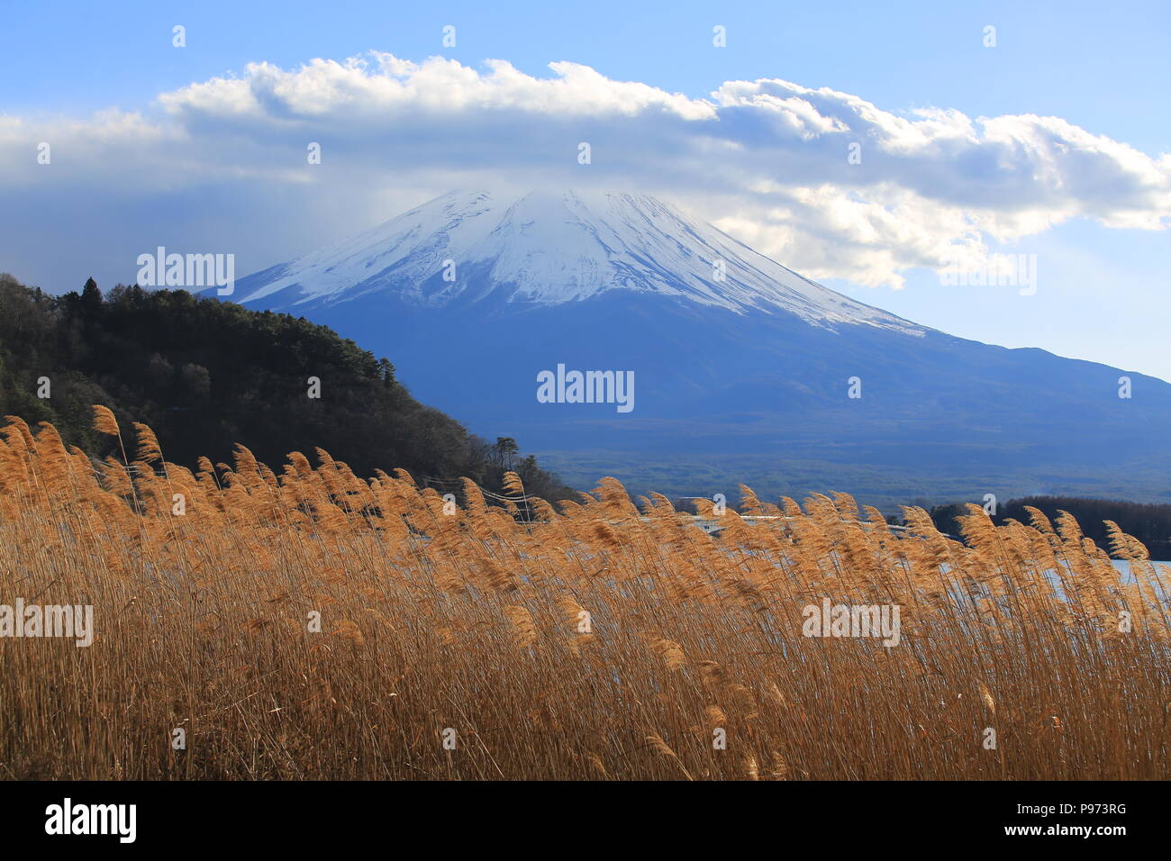 muji mountain meadow with lake view Stock Photo - Alamy