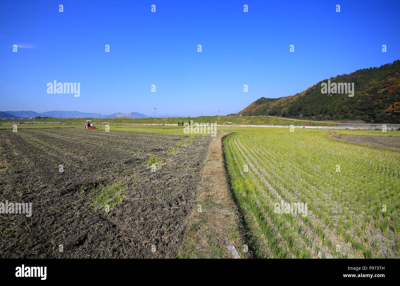 Japan Rice Farm High Resolution Stock Photography and Images - Alamy