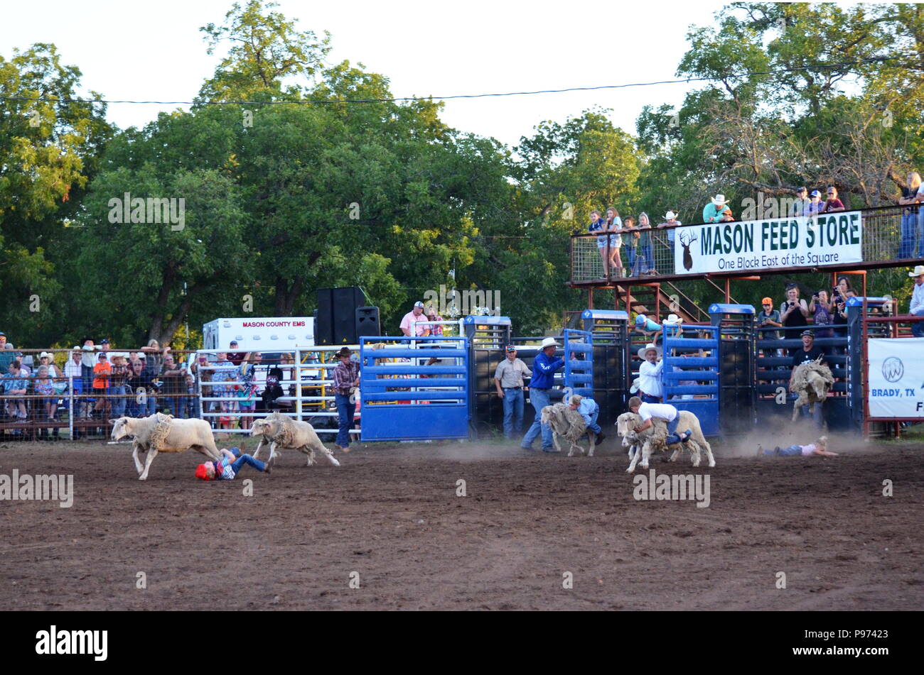 Children ride lamb hi-res stock photography and images - Alamy