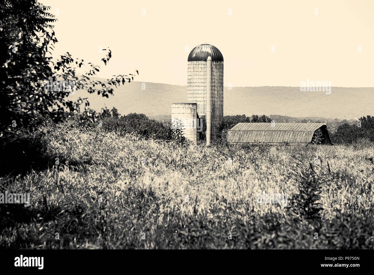 Black and white photo of a landscape with a silo and barn in the ...