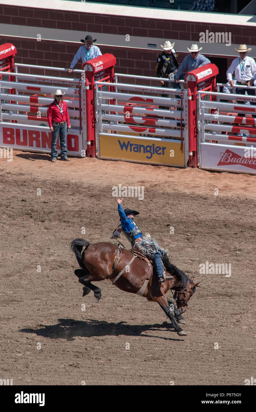 Calgary stampede rodeo hi-res stock photography and images - Alamy