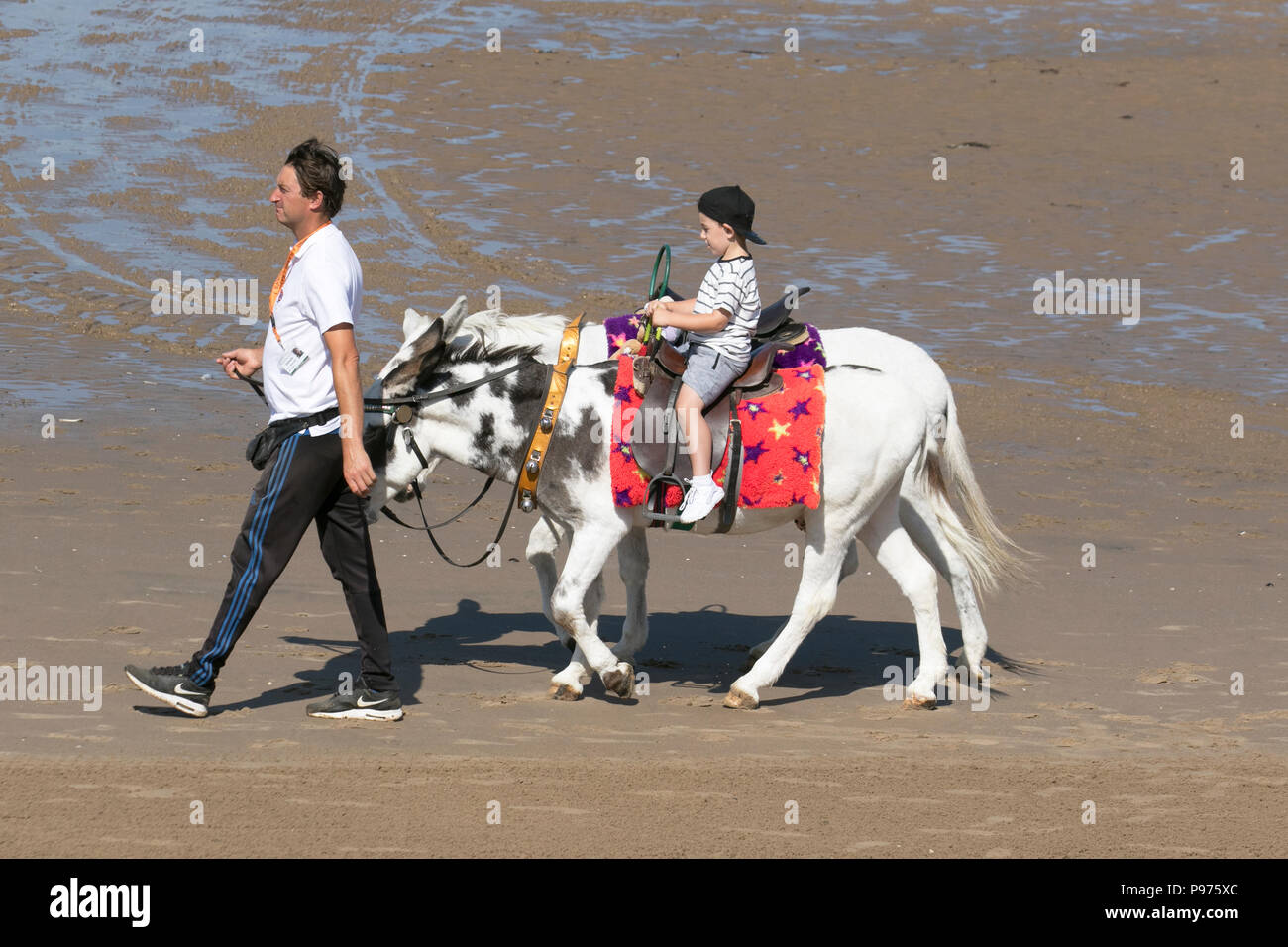 Donkeys donkey rides blackpool beach seaside sand resort coast coast hi ...