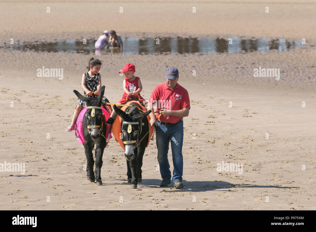 Donkeys donkey rides blackpool beach seaside sand resort coast coast hi ...