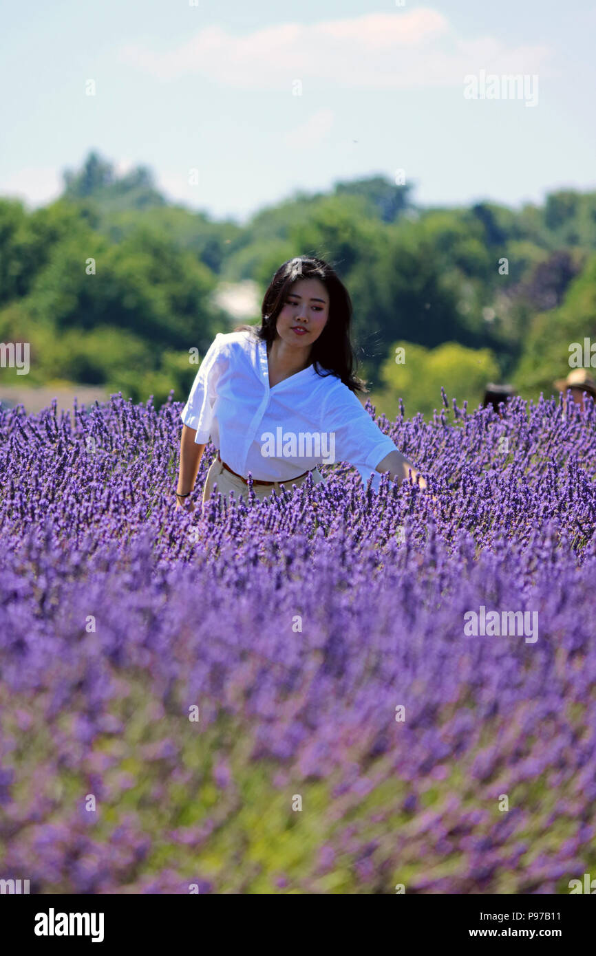 Banstead Surrey England UK. 15th July 2018. A lady surrounded by ...