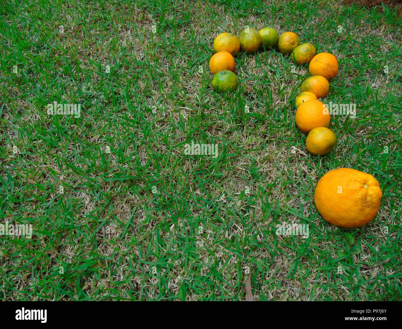 Interrogacao hi-res stock photography and images - Alamy