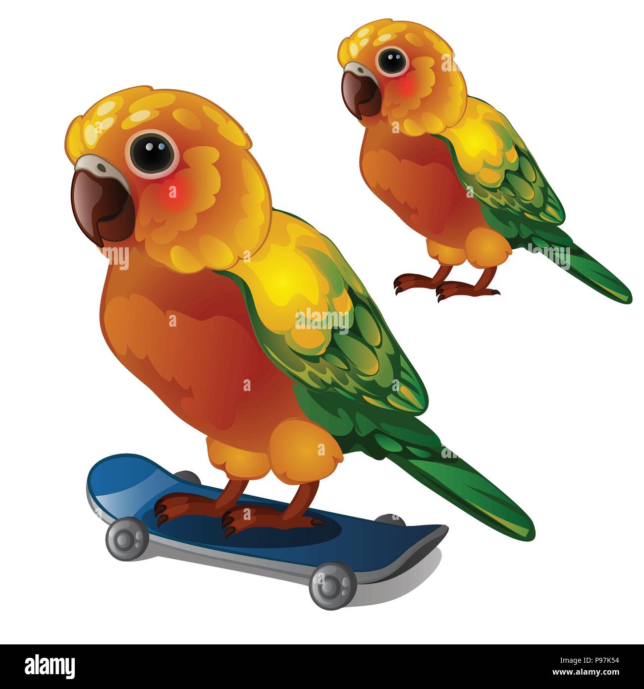 Colorful Sun Conure Parrot rides his skateboard. Tropical tamed bird is ...