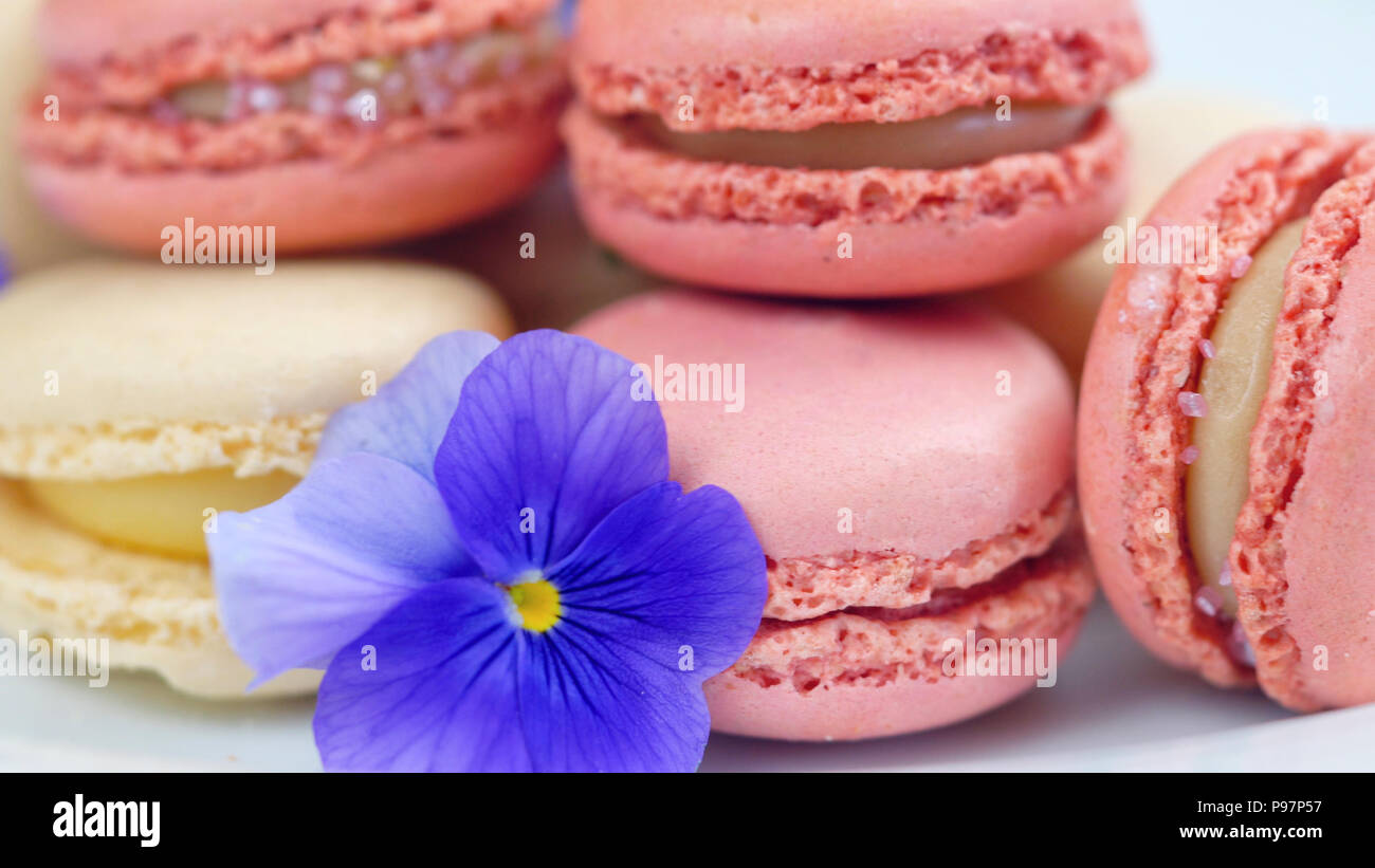 Macro close up of colourful macaron cookies Stock Photo - Alamy