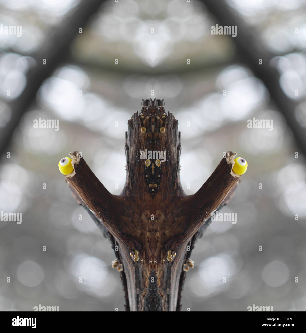 Conceptual photo - face of the forest - face from branches with doll's ...