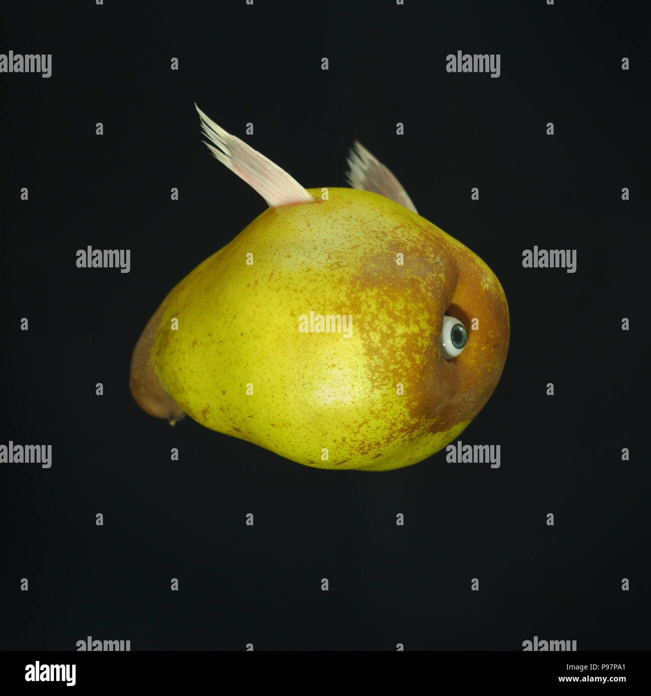 Wild bird-pear with an eye over a black background Stock Photo - Alamy