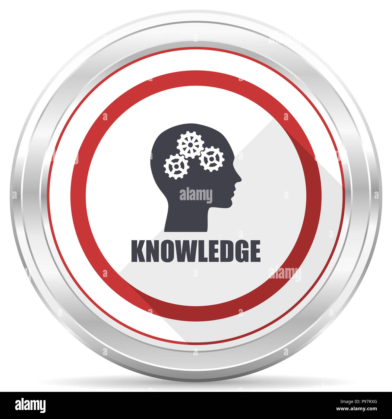 Knowledge silver metallic chrome border round web icon on white ...