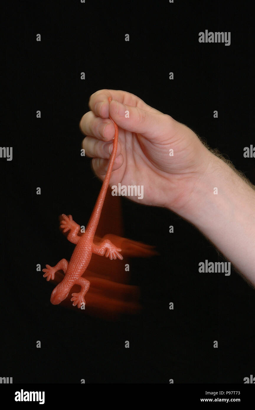 Swinging shutter hi-res stock photography and images - Alamy