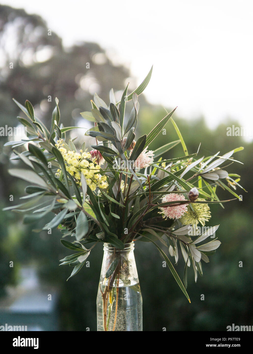 Australian Native Plants and Flowers in a Glass Vase Stock Photo - Alamy