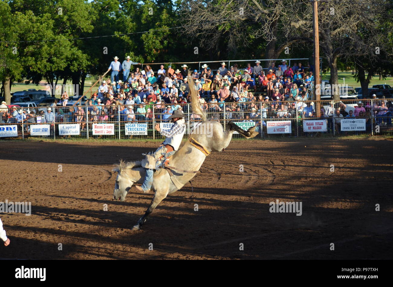 Bronc Busting at the Mason County Rodeo Stock Photo - Alamy