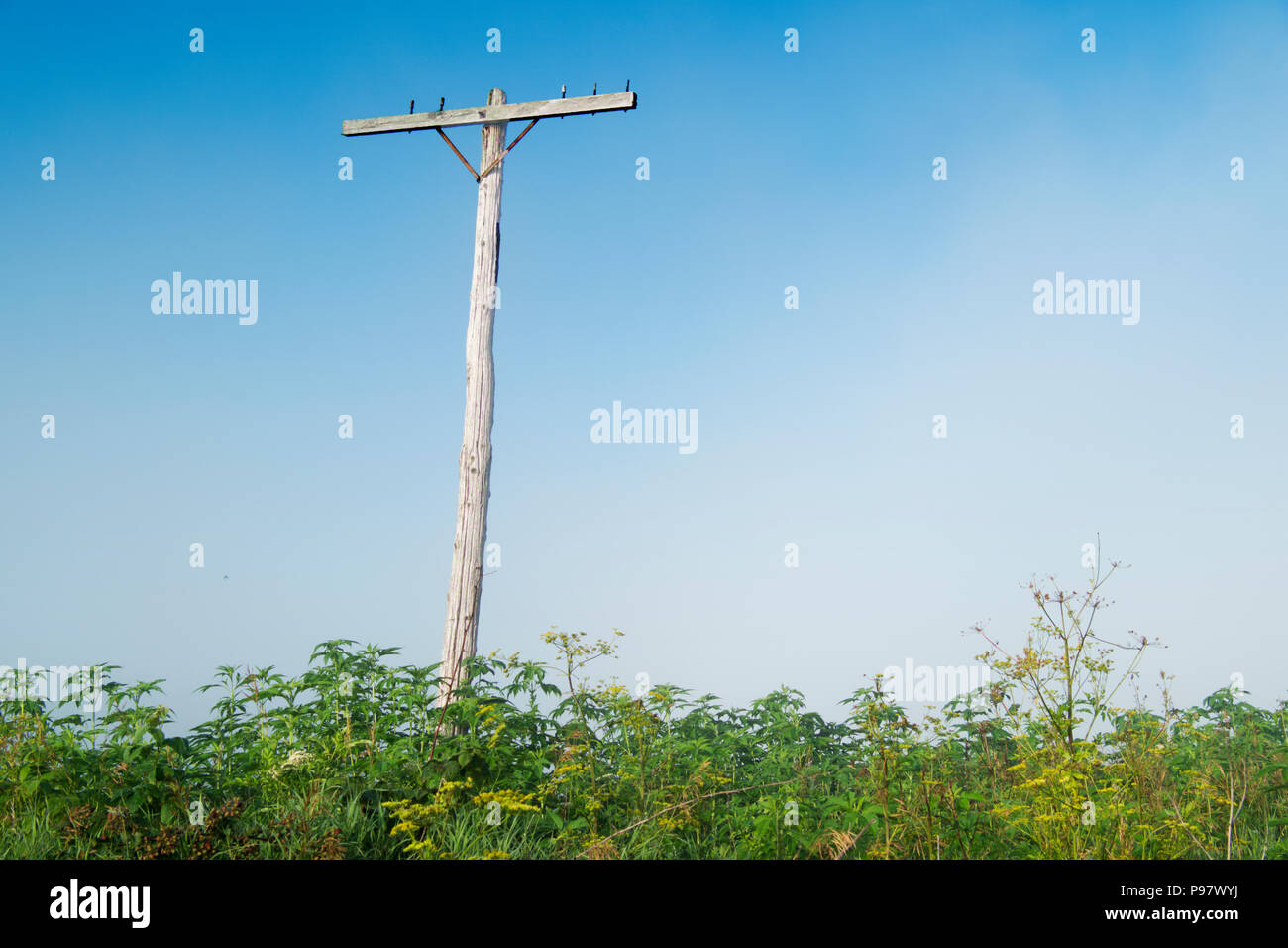 Utility pole hi-res stock photography and images - Alamy