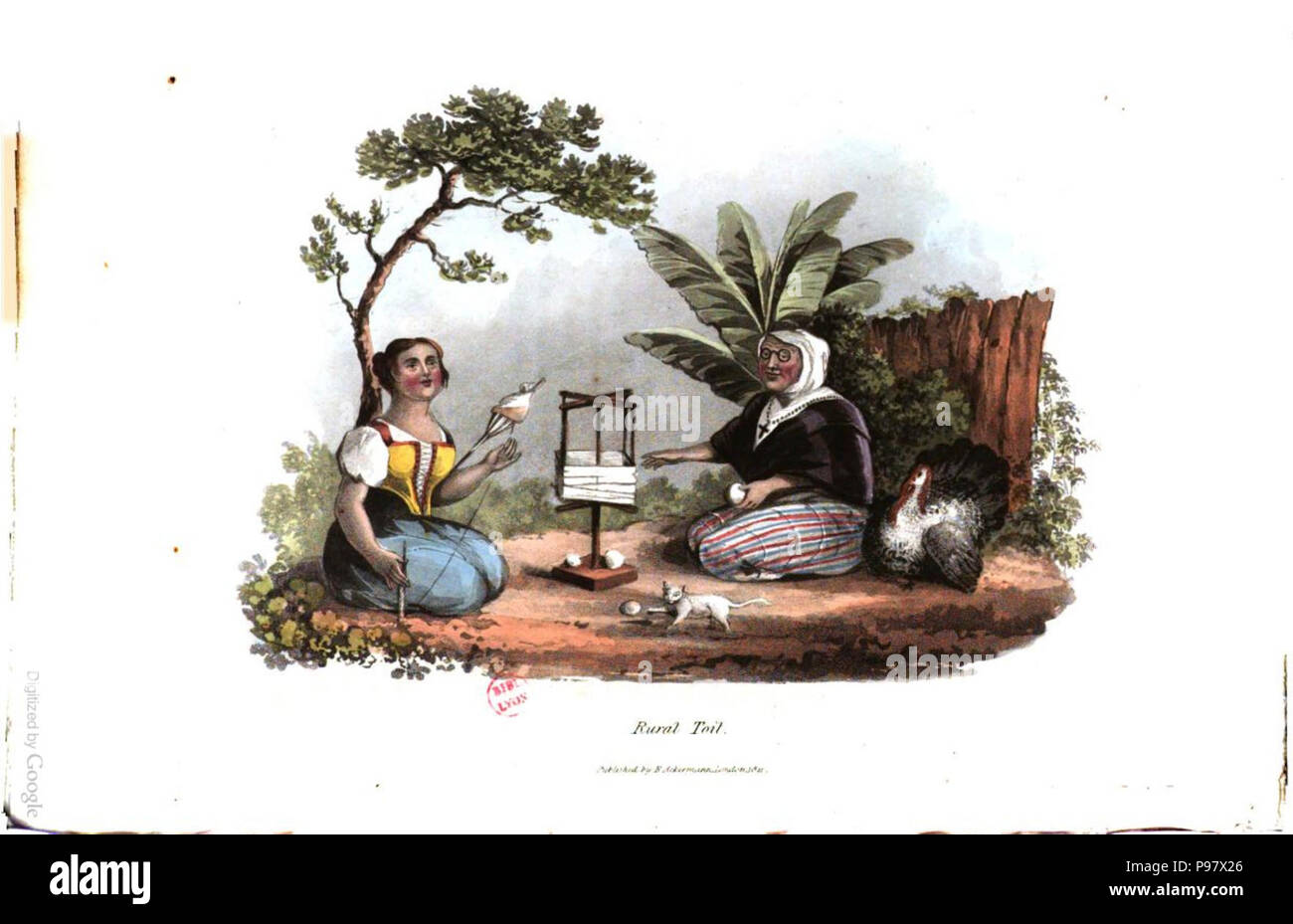 A History of Madeira, 1821, P 67 Stock Photo - Alamy