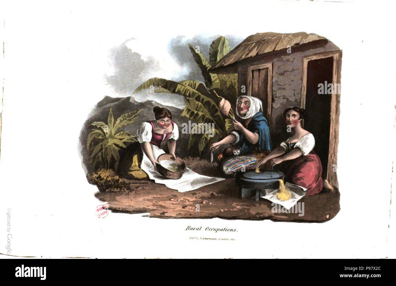 A History of Madeira, 1821, P 75 Stock Photo - Alamy