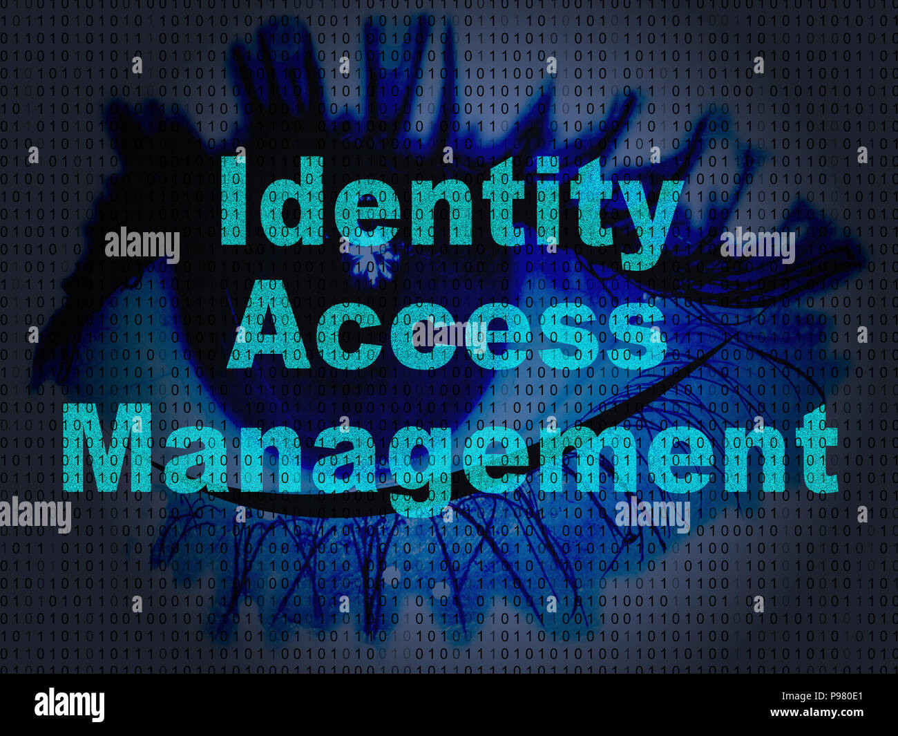 Identity Access Management Fingerprint Entry 2d Illustration Shows ...