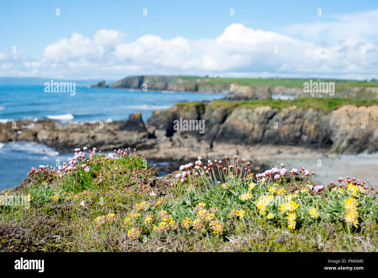 Bunmahon Cliffs on the Copper coast Road Stock Photo - Alamy