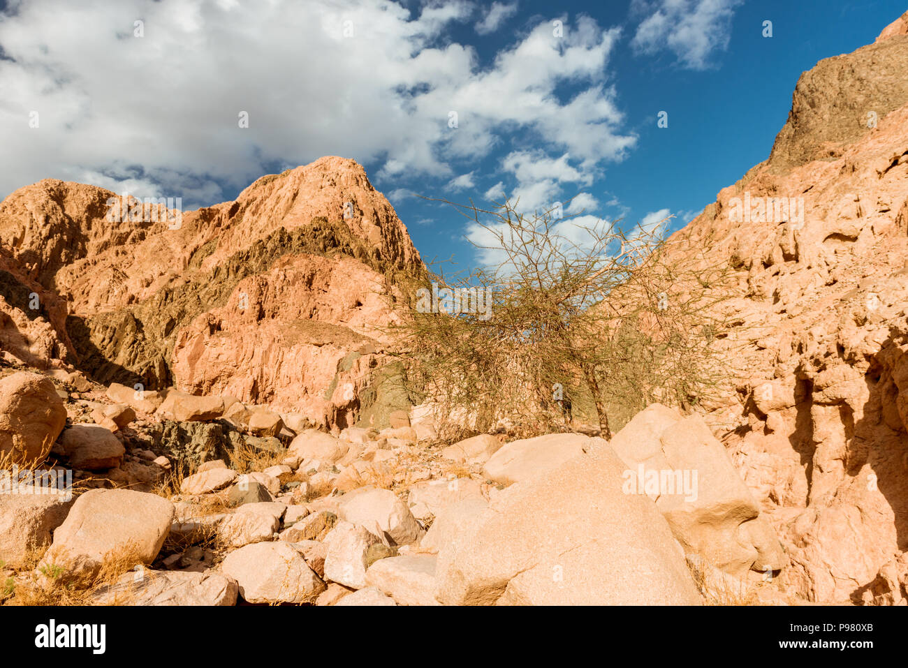 Mountain in Sinai desert Egypt Stock Photo - Alamy