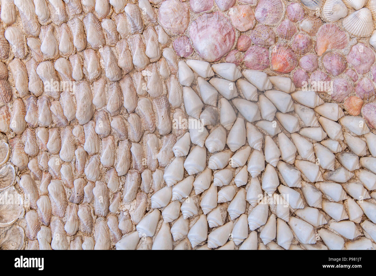Big background decoration in cement house wall of several sea shell ...