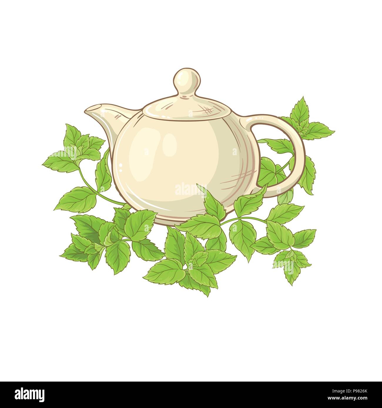 peppermint tea vector illustration on white background Stock Vector ...