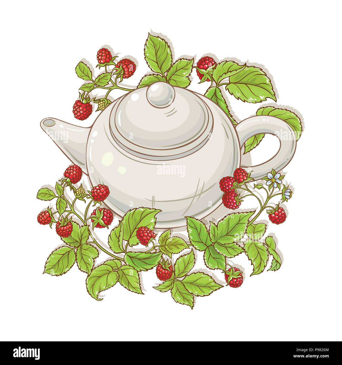 raspberry tea in teapot illustration on white background Stock Vector ...