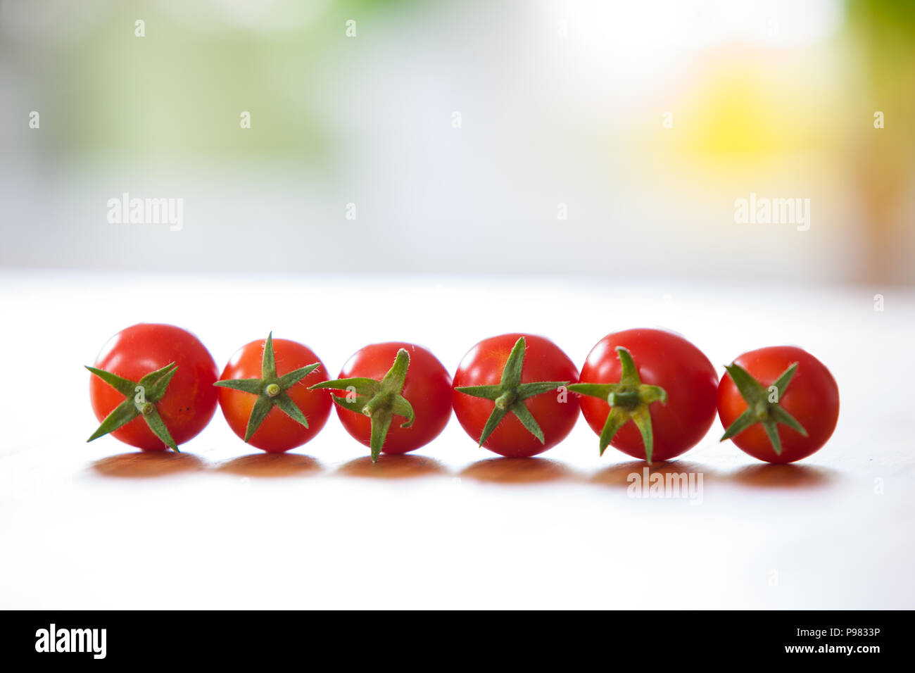 Plant six row hi-res stock photography and images - Alamy