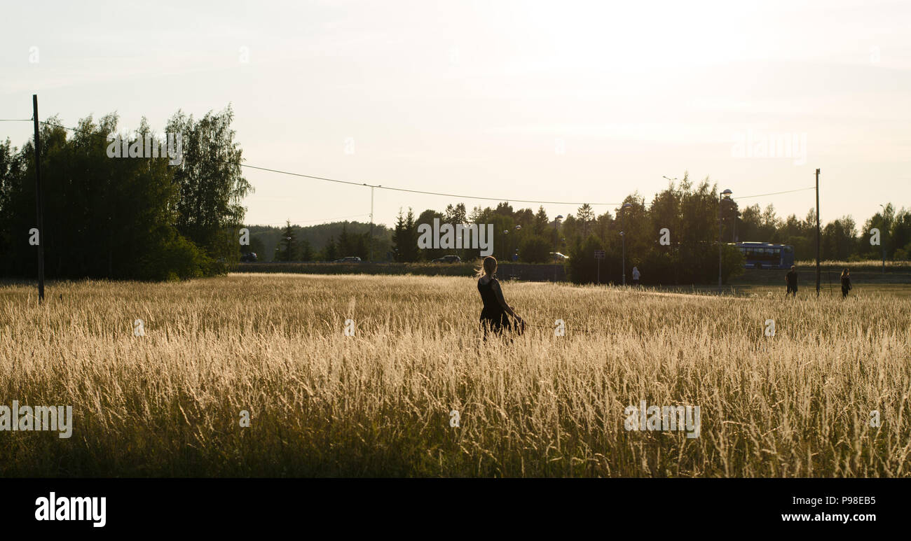 Stockholm, Sweden - 15 July 2018. The heat wave over Sweden and ...