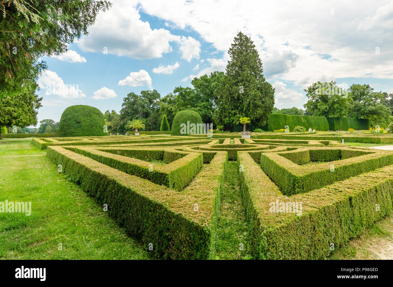 Maze hedge pattern labyrinth hi-res stock photography and images - Alamy