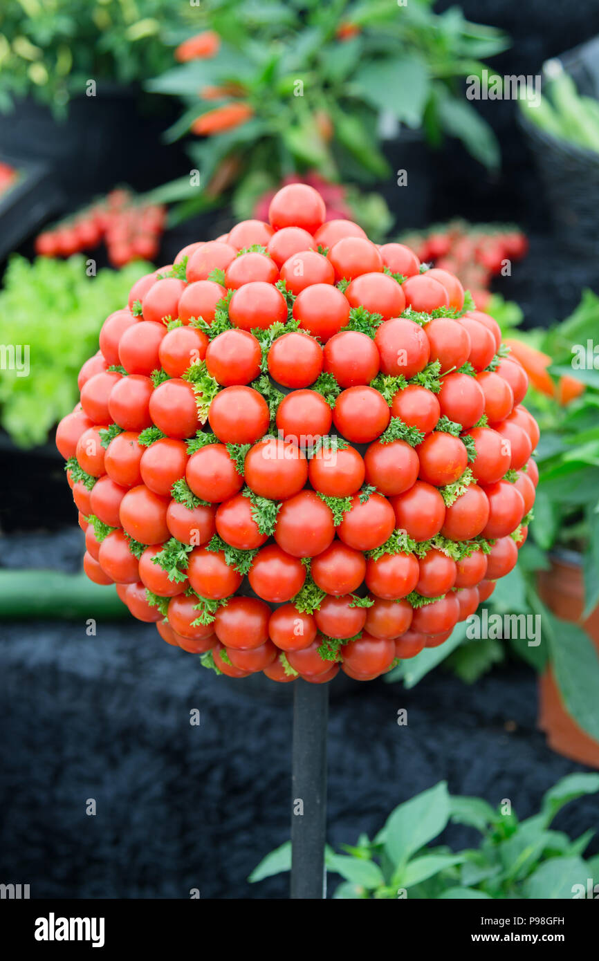 Tomato display as a ball of fruits Stock Photo - Alamy