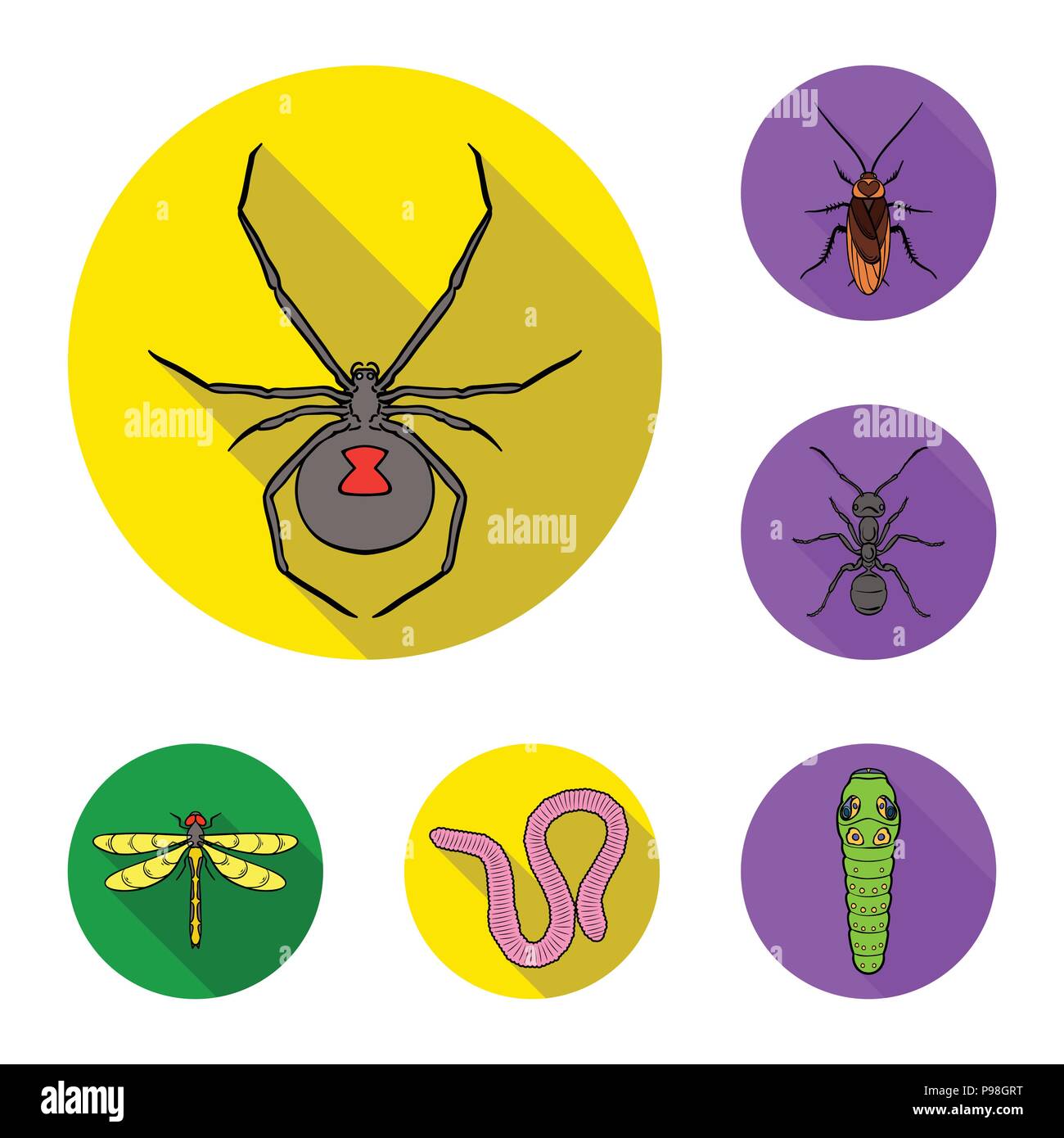 Different kinds of insects flat icons in set collection for design ...