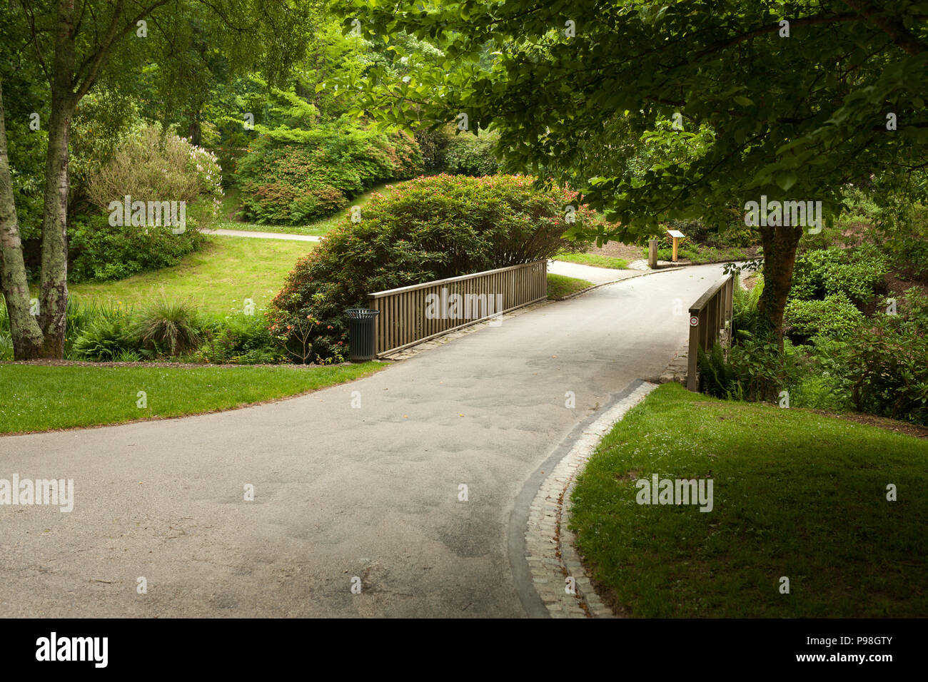 Beautiful Alley In Park. Garden Landscaping Design Concept Stock Photo ...