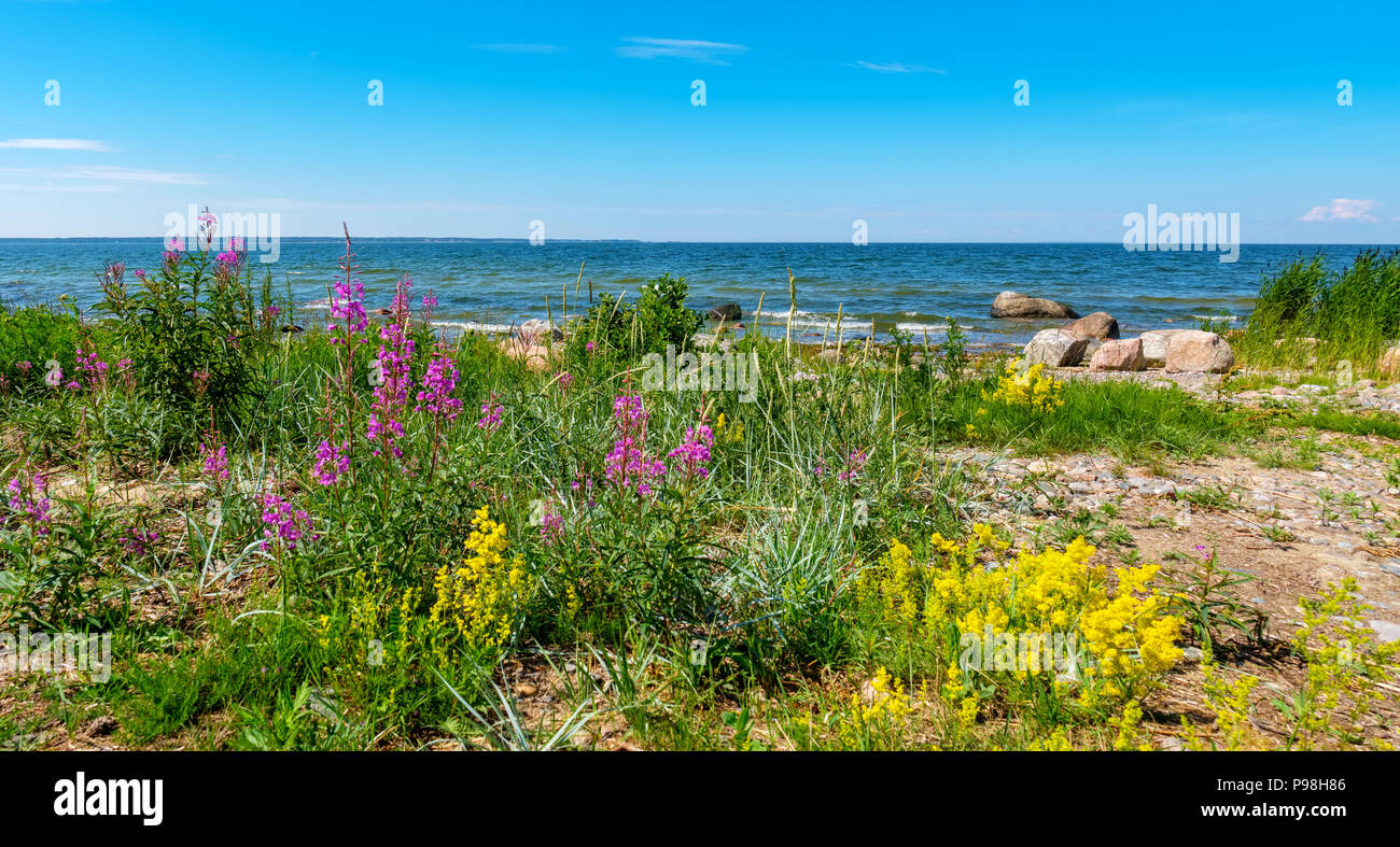 Panoramic view of Baltic Sea coast at Kaberneeme. Estonia, Europe Stock ...