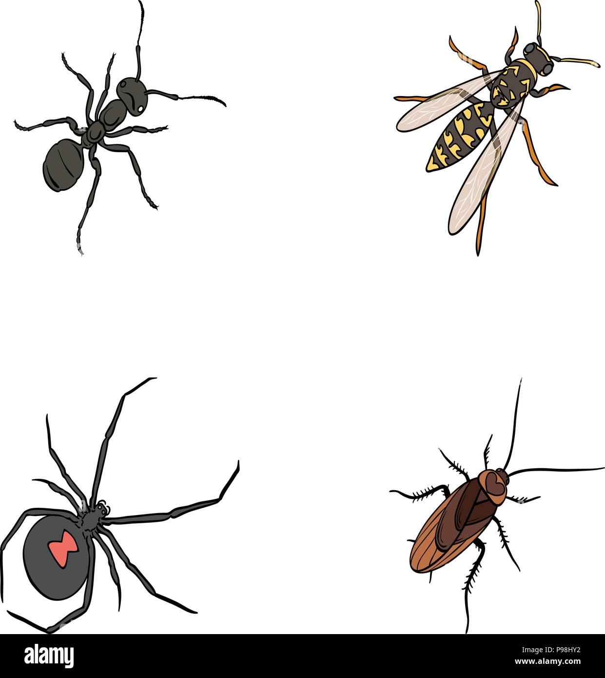 An insect arthropod, an osa, a spider, a cockroach. Insects set ...