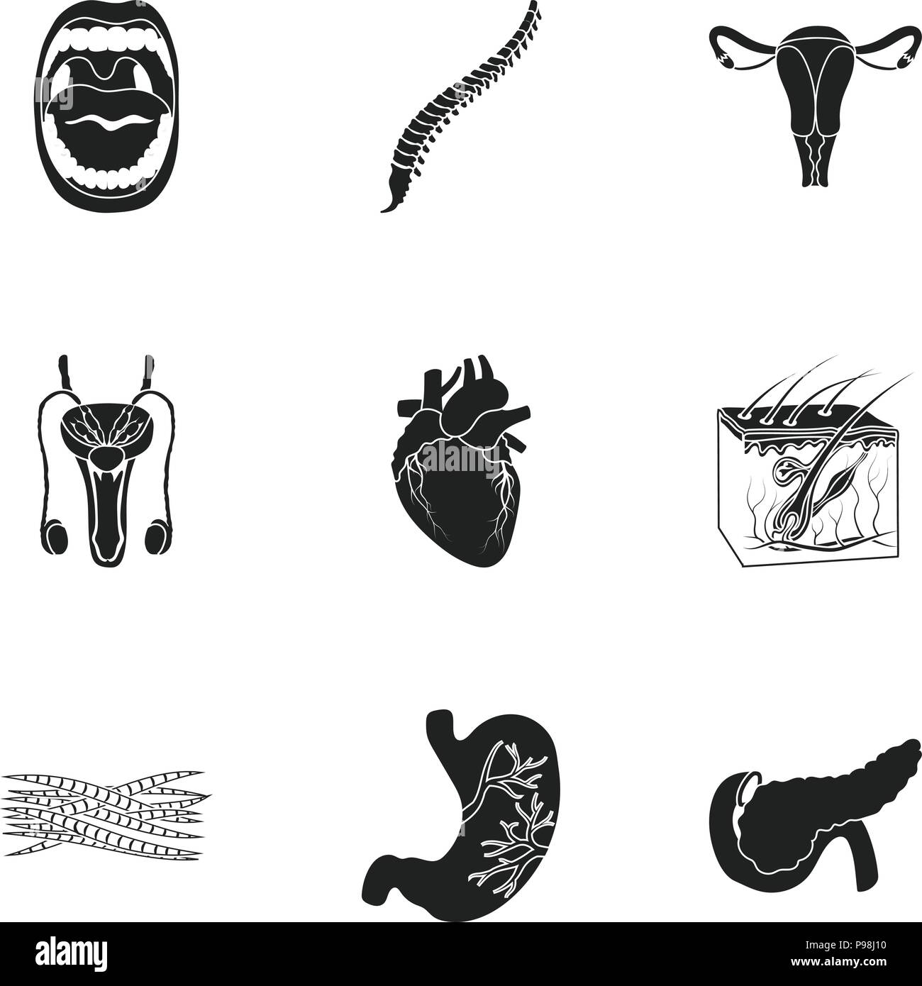Organs set icons in black style. Big collection of organs vector symbol ...
