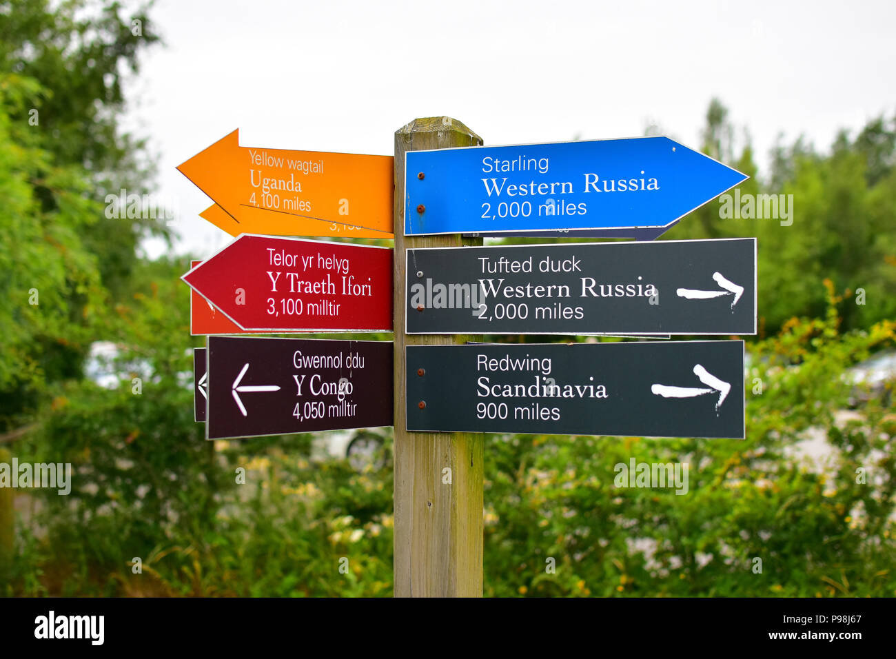 Sign post for visitors at the RSPB Reserve at Conwy North Wales UK ...