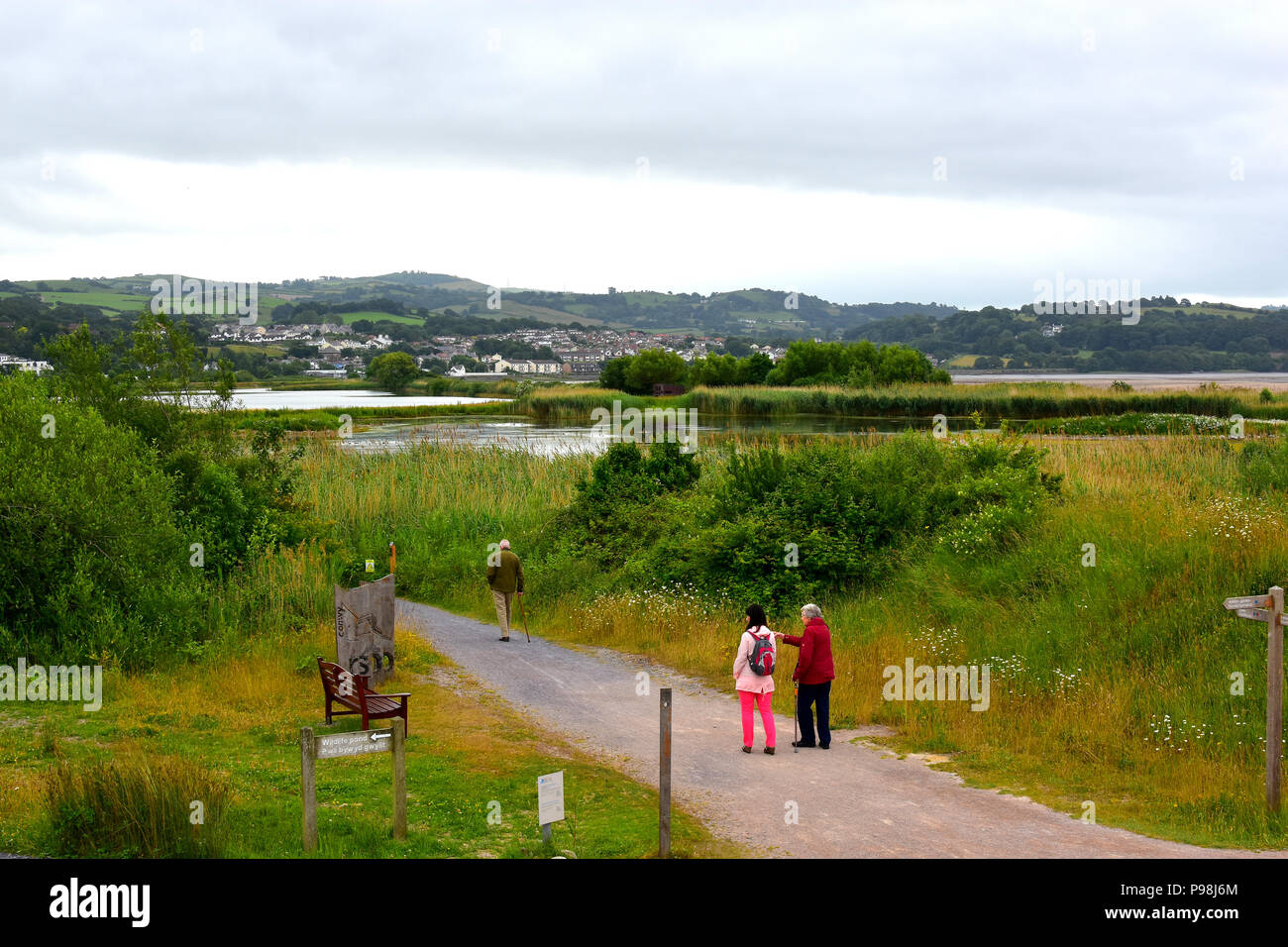 RSPB Reserve at Conwy North Wales UK Stock Photo - Alamy