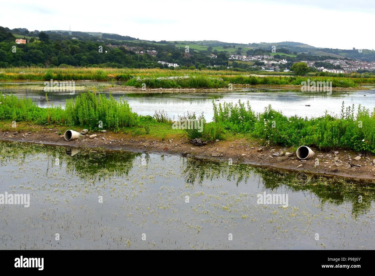 RSPB Reserve at Conwy North Wales UK Stock Photo - Alamy