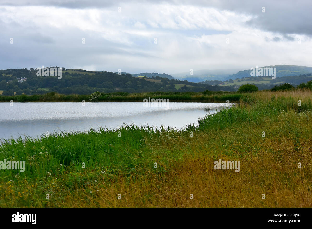 Conwy rspb hi-res stock photography and images - Alamy