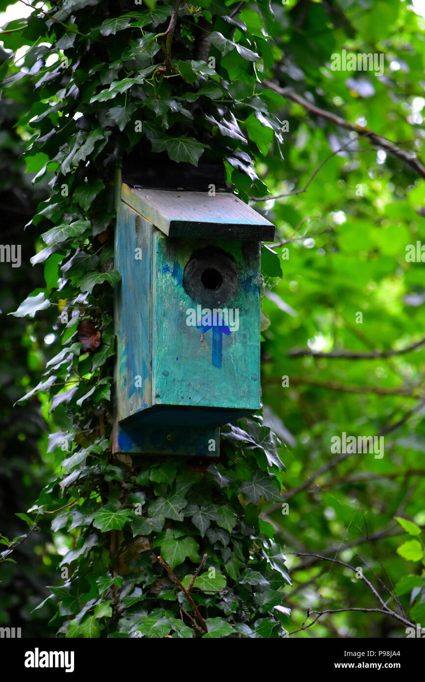 Bird nesting boxes at the RSPB Reserve at Conwy North Wales UK Stock ...