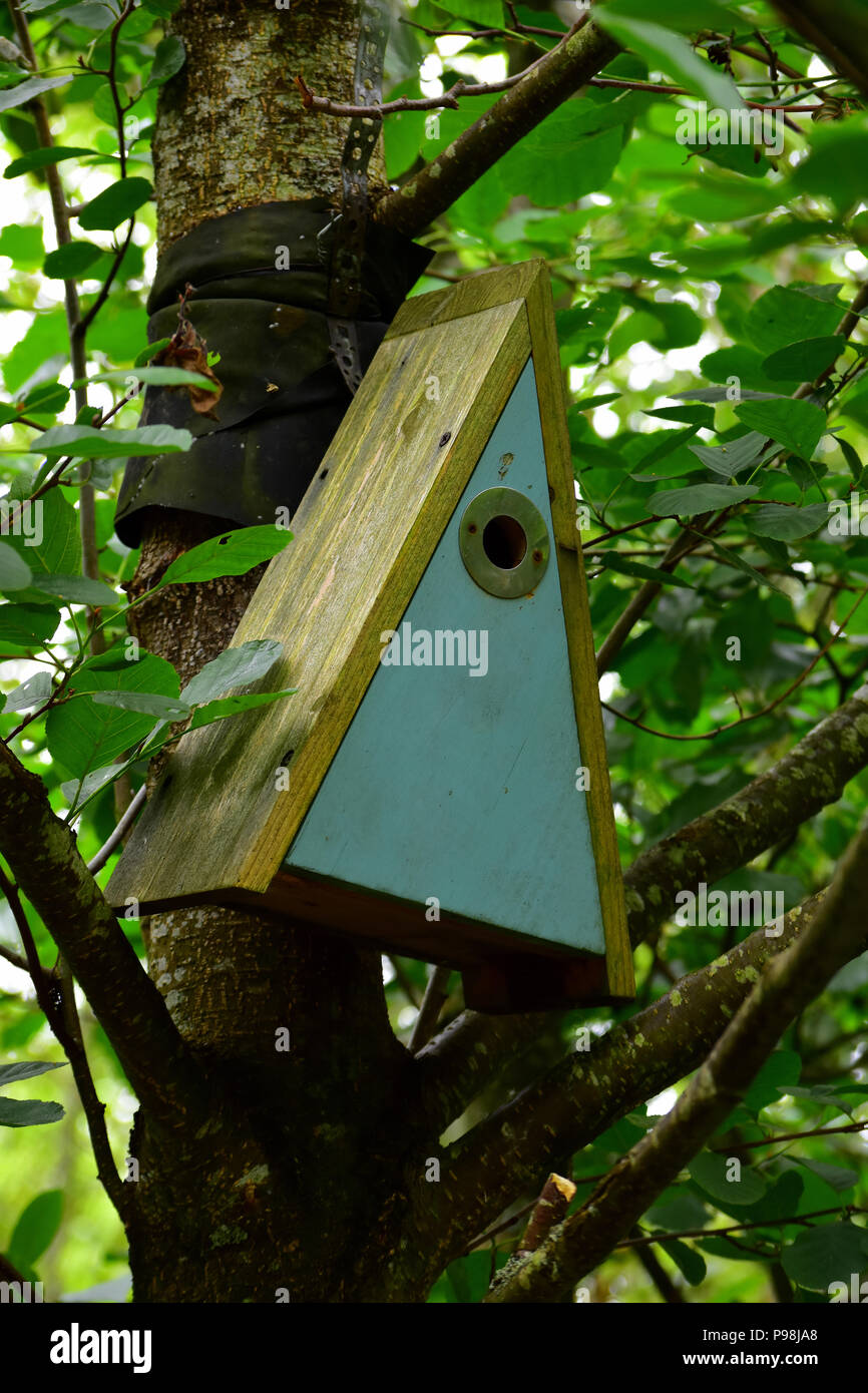 Bird nesting boxes at the RSPB Reserve at Conwy North Wales UK Stock ...